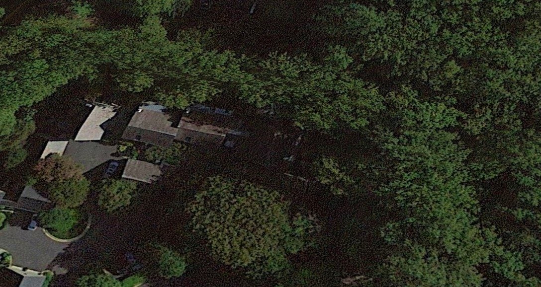 Meet Marijke Mars: The Billionaire Heiress to the Mars Fortune and ...