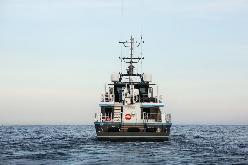 Who is the Owner of the Bad Company Support vessel? ANTHONY HSIEH