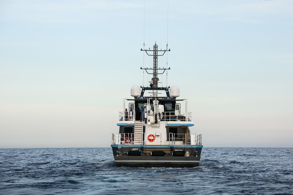 Who is the Owner of the Bad Company Support vessel? ANTHONY HSIEH