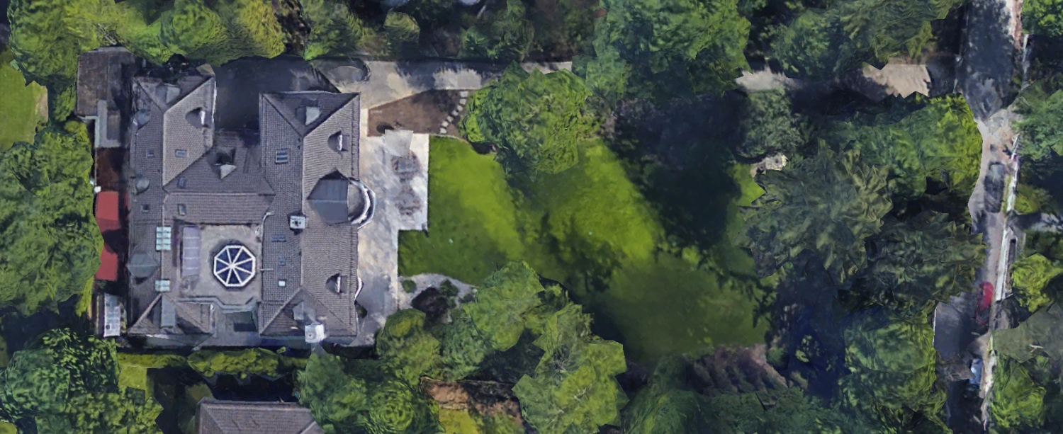 TAREK MAMISCH: From Dental Prosthetics to Philanthropy • Net Worth