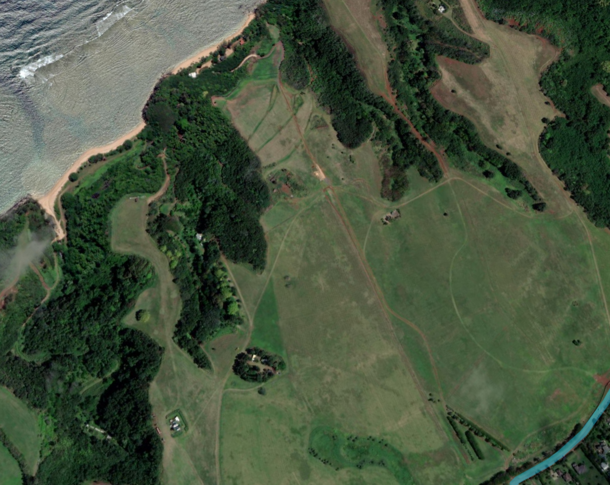 The Digital Visionary: Mark Zuckerberg's Journey from Harvard to Meta ...