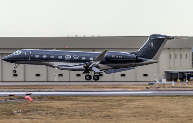 GARY FRIEDMAN: Revolutionizing RH into a Luxury Lifestyle Empire